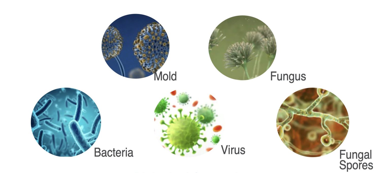 Better Indoor Air Quality with ZenAir Air Purifiers| InviroTech.com